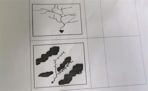 The Image Contains Two Diagrams The First Studyx