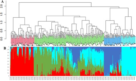 A Clustering Of 623 Sub Tropical Maize Inbred Lines Using Ward S