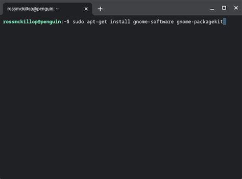 How To Install Linux Apps On A Chromebook Simple Help