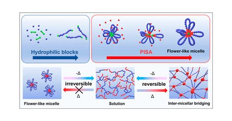 Synthesis Of Flower Like Micelles That Recognize Thermal History Via Raft Aqueous Dispersion