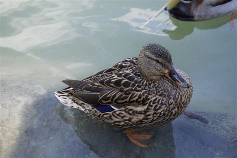 【数学分析】（伍胜健）第七章习题 知乎