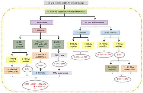 Hepatitis B Treatment Guidelines