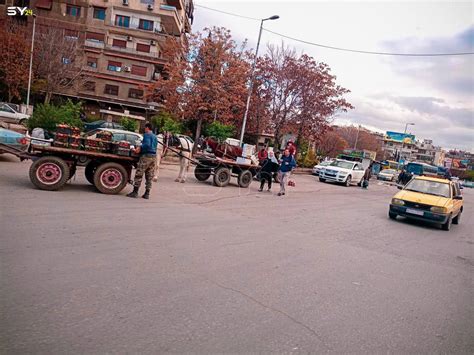 ظاهرة خطيرة يلجأ إليها المواطنين في مناطق النظام لتأمين لقمة عيشهم Sy24