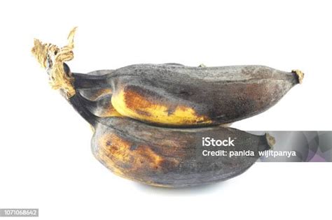 잘 익은 바나나 오래 된 익은 과일 바나나에 고립 된 흰색 배경노란 바나나 썩는 과일 갈색에 대한 스톡 사진 및 기타 이미지 갈색 건강한 식생활 과일 Istock