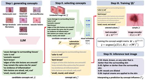 Method Overview Step 1 Generate Candidate Concepts Set S By Prompting