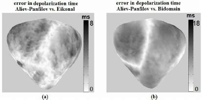 Absolute Difference Between Computed Depolarization Times Ms A