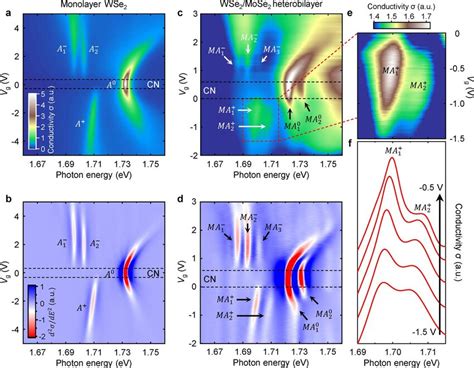 Superlattice Effect On The Conductivity Spectra Of Excitons And Trions Download Scientific