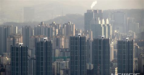 경매시장 부동산시장 직격탄5년만에 진행건수 증가세 전환