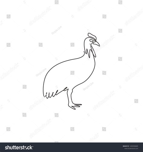 Single Continuous Line Drawing Exotic Cassowary Stock Vector Royalty Free 1493938685