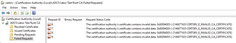 The Request For A Certification Authority Certificate Fails With The