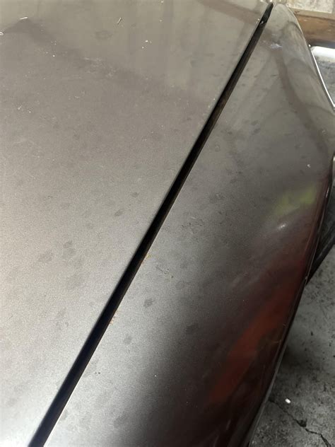 Does Anyone Know What These Dots Are And How I Can Remove It R