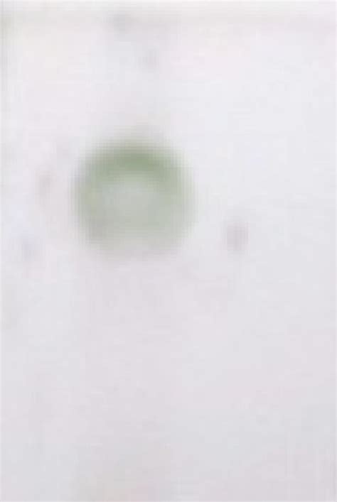 4 Compound Isolated Using Preparatory Tlc Methanol Extract