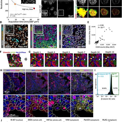Mibi Tof Enables Imaging Of Metal Tagged Antibodies Simultaneously With