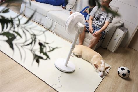 캠핑서큘레이터 저소음 도너 써큘레이터 선풍기 조용해요 네이버 블로그