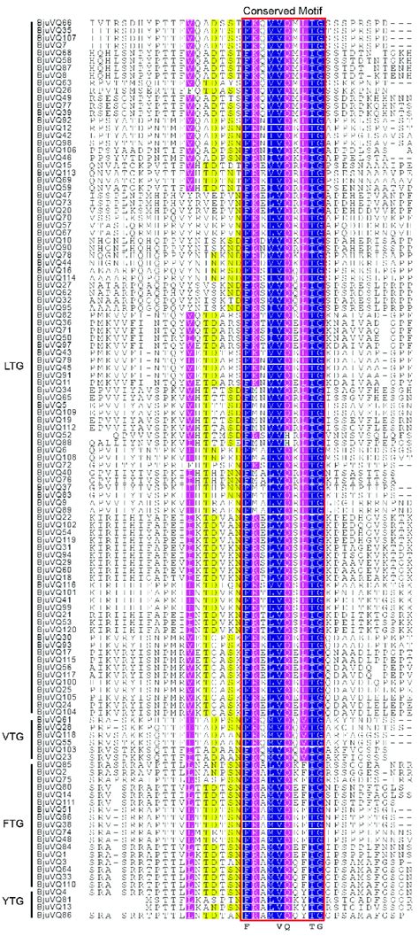 multiple sequence alignment of the vq domain of the 120 vq proteins in