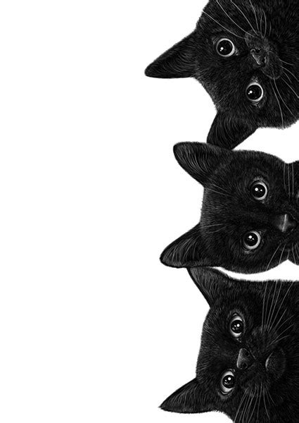 Three Black Cats Posters And Prints By Valeriya Korenkova Printler