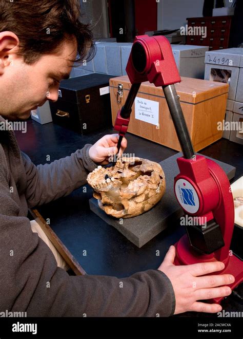Neanderthal Research Researcher Using A Techsoft Device To Make