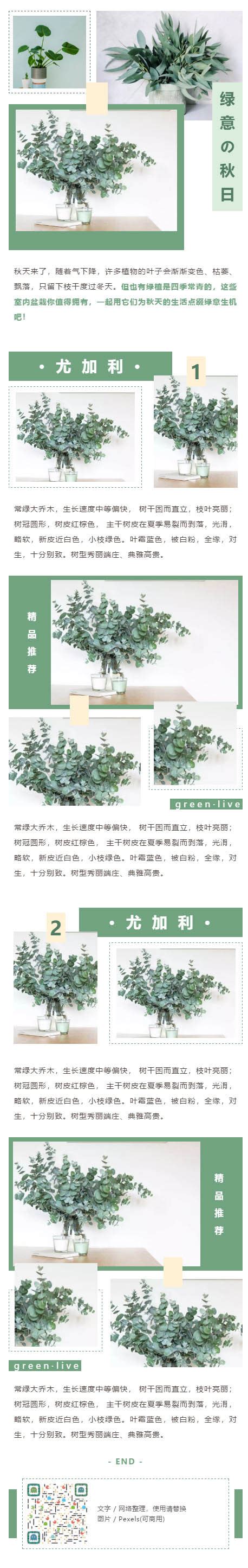 绿意绿植绿色植物微信公众号推文模板推送素材 微信公众号文章模板大全