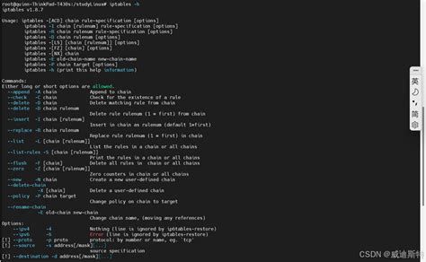 Linux网络命令：用于设置、维护和检查 Ipv4 数据包过滤规则的工具iptables详细介绍linux Iptable Csdn博客