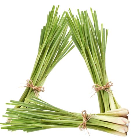 Nutrition Guide Benefits Of Lemon Grass Veggies Info