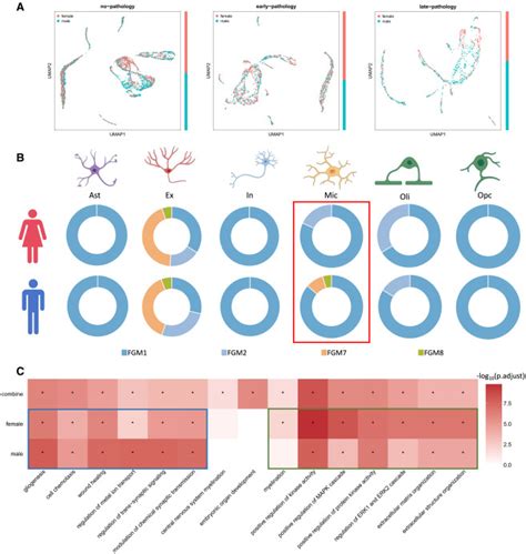 Single Cell Biclustering For Cell Specific Transcriptomic Perturbation Detection In AD
