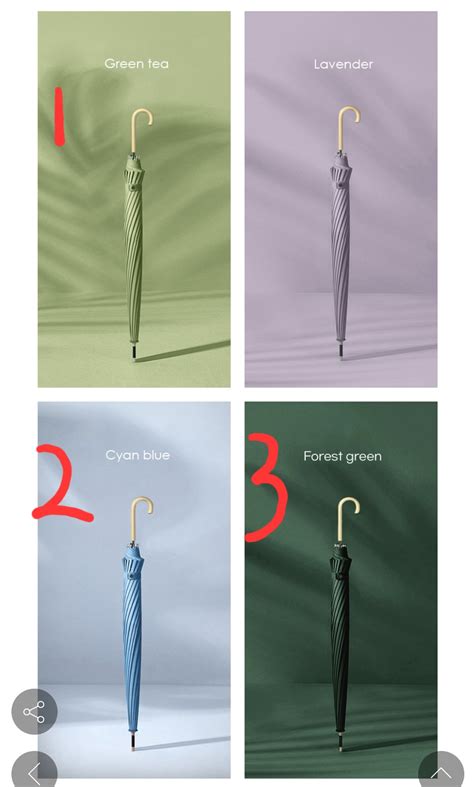 잡담 ☔️이쁜이들아 우산 색깔 좀 골라주라☔️ 인스티즈instiz 연예 카테고리