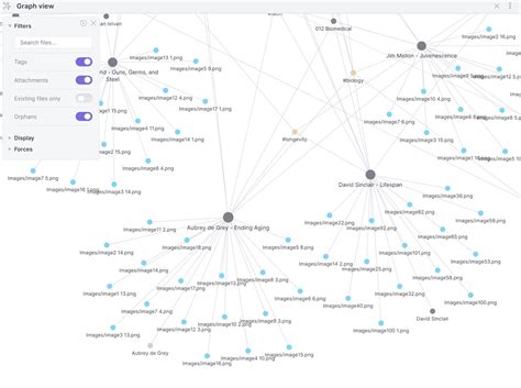 Display Headings And Blocks In Graph View Feature Requests Obsidian