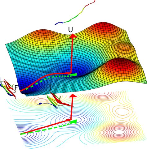 Schematic Representation Of The Free Energy Landscape Of Titin I27