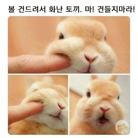 인스타에 있는 핀
