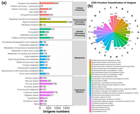 Effects Of Different Stocking Densities On Snail Bellamya Purificata