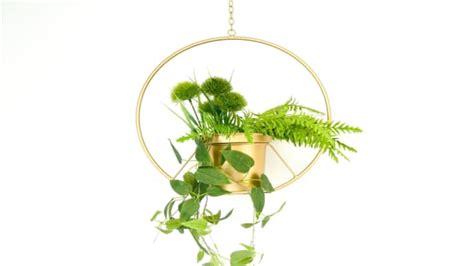 DIY A Chain Trellis For Hanging Plants Dengarden