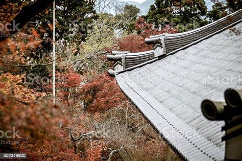 추절 나뭇잎색 At 에이칸도 관자놀이 In 교토부 일본용 Satoyama Scenery에 대한 스톡 사진 및 기타 이미지