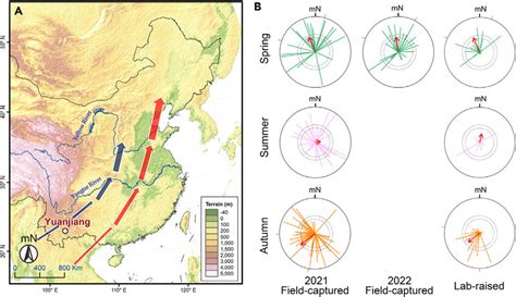 Orientation Behavior Of Field Captured And Lab Raised S Frugiperda