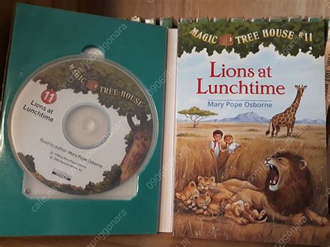 매직트리하우스magic Tree House 책28권 유아동도서음반 중고나라
