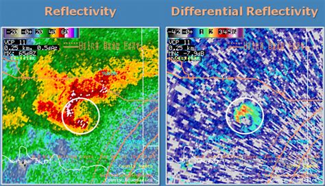 What Is Differential Reflectivity And How Can You Use It Author