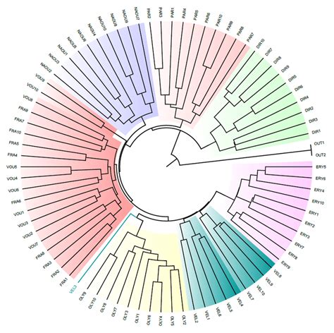 Upgma Dendrogram Based On Jaccards Coefficient Illustrating The Download Scientific Diagram