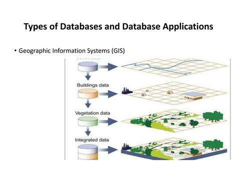 Lec4 Databases And Database Management Systemspptx