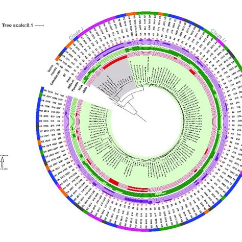 Clonal Relationship Of Escherichia Coli St216 Isolates From Silver