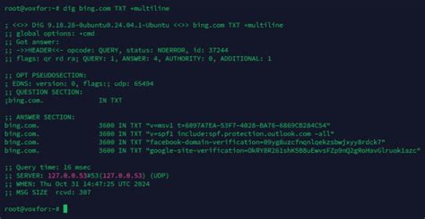 How To Use The Linux Dig Command With Examples