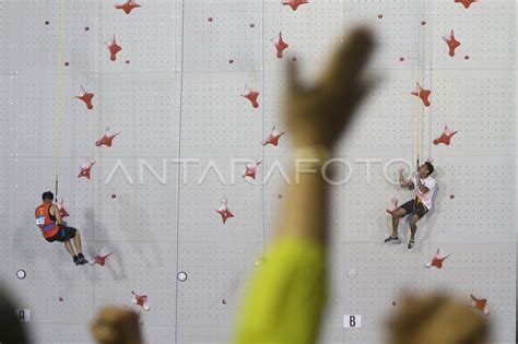 PANJAT TEBING SEMI FINAL SPEED RELAY PUTRA ANTARA Foto
