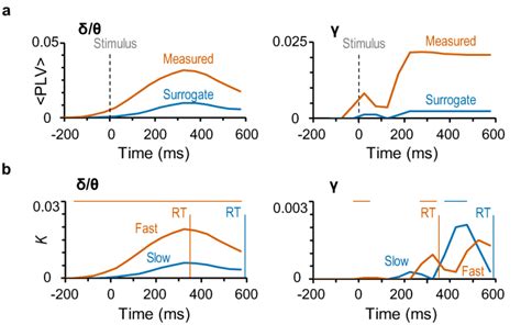 Gamma And Deltatheta Band Synchronization Is Not Artificial And
