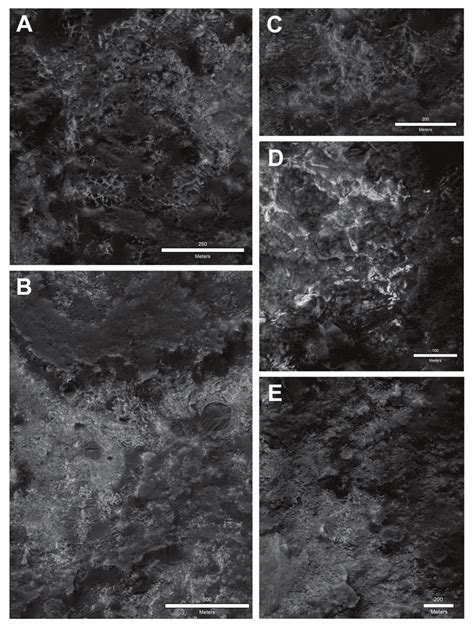 Overview Of Fractures At Different Scales Present Within The Proposed Download Scientific