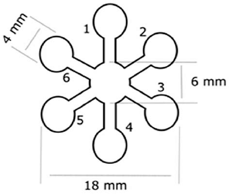 Use Of Lateral Flow Assays In Forensics
