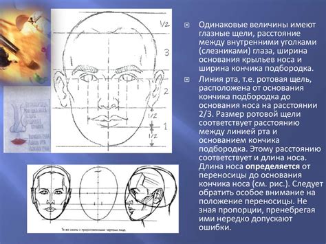 Пропорции головы человека презентация онлайн