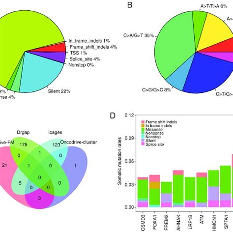 Characterization Of Somatic Mutations And Cancer Genes In Prad A
