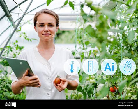 Portrait Of Agricultural Scientist Woman In Tomatoes Greenhouse Artificial Intelligence