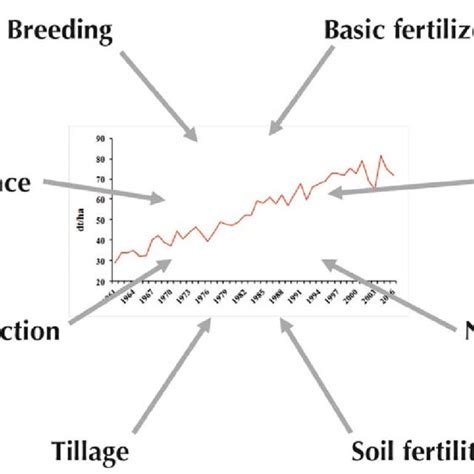 Factors Influencing Yield Download Scientific Diagram