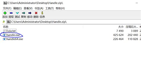 Windows查看文件句柄 Csdn博客