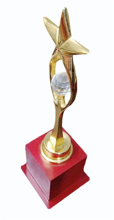 Star Student Trophy At ₹ 300piece स्टार अवॉर्ड In Moradabad Id