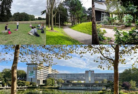 Visites sandwich relaxantes 2023 à Évry Courcouronnes Grand Paris Sud